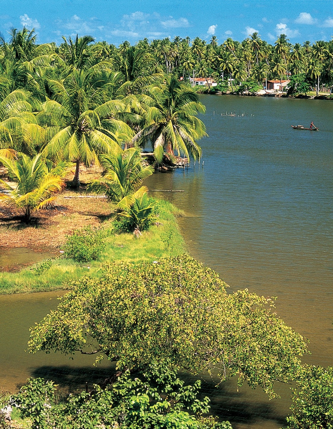 Cruises to Maceio: deals & bookings | Costa Cruises