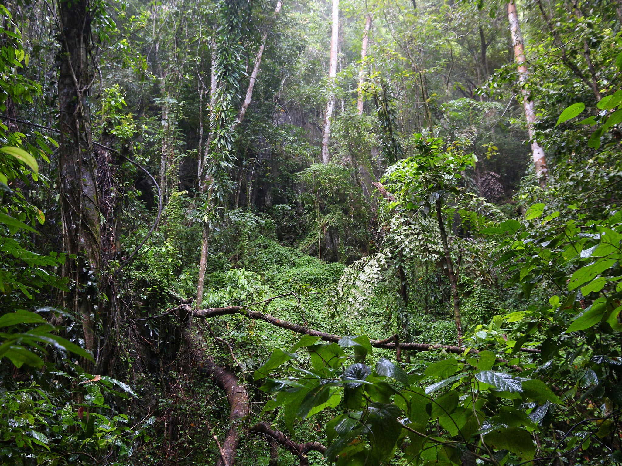 Subic Bay best excursions and guided tours | Costa Cruises