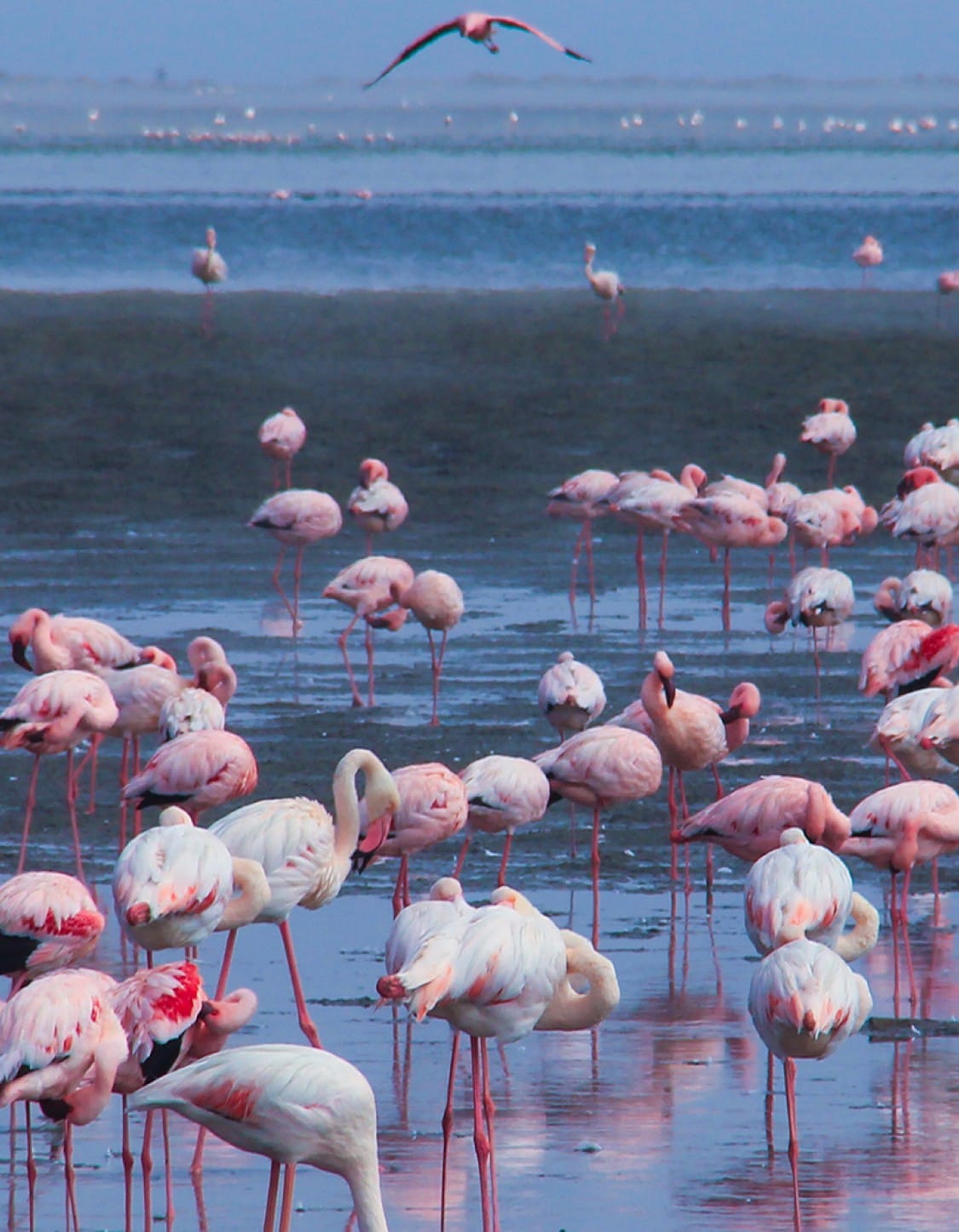 Cruises to Walvis Bay: deals & bookings | Costa Cruises