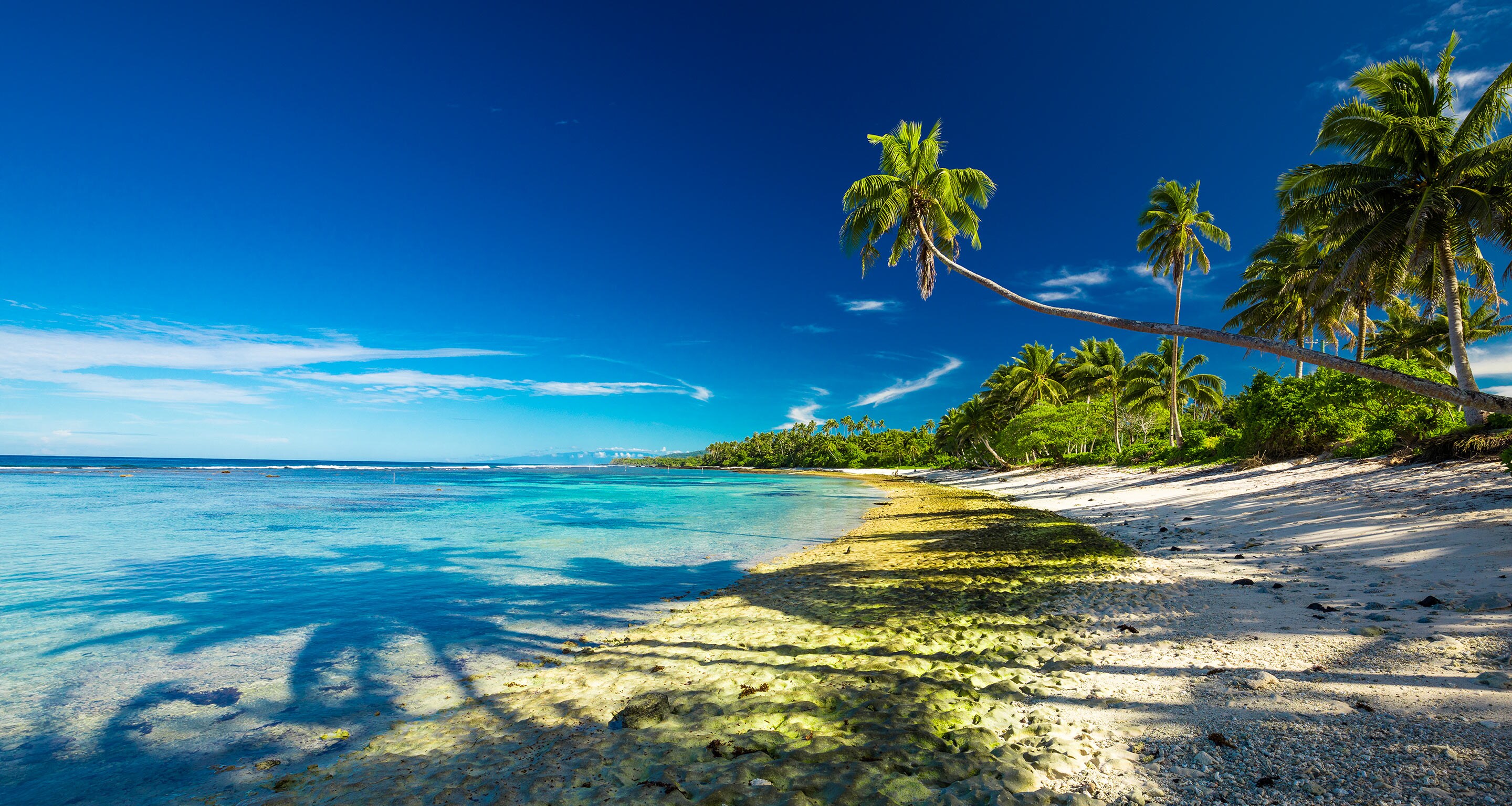 Cruises to Apia: deals & bookings | Costa Cruises